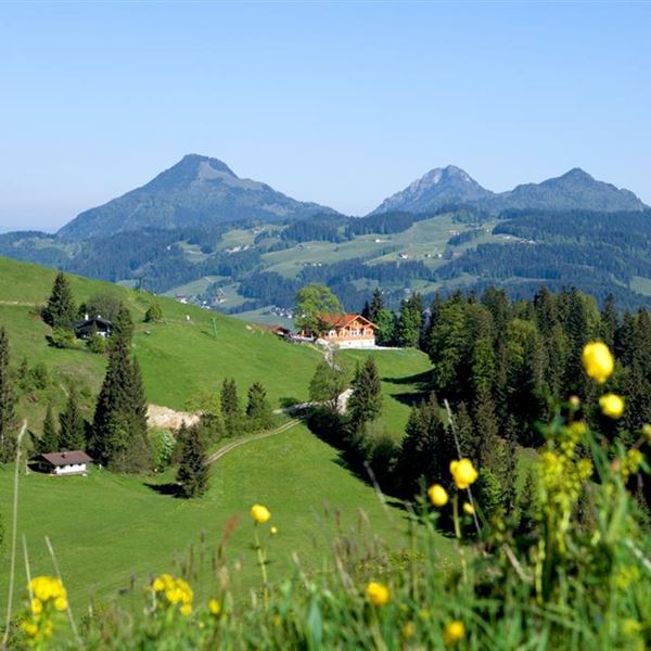 Alpengasthof Aschinger Alm in Ebbs