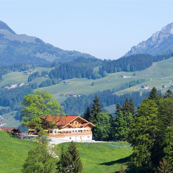 Alpengasthof Aschinger Alm in Ebbs